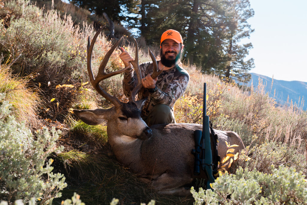 E-Scouting 101: October Mountain Mule Deer - Dialed In Hunter